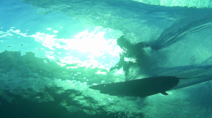Der heftigste Wipeout in Teahupoo - Surfers Mag